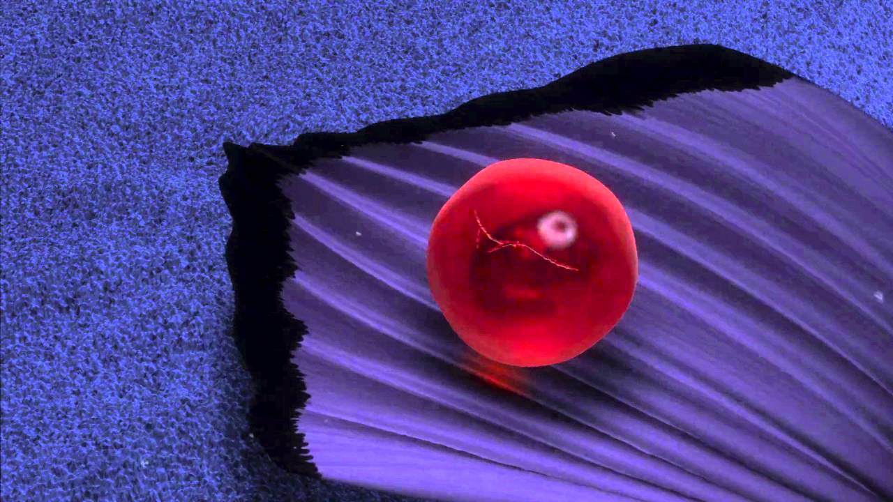Finding Nemo - Main Theme: Nemo Egg Cover - YouTube