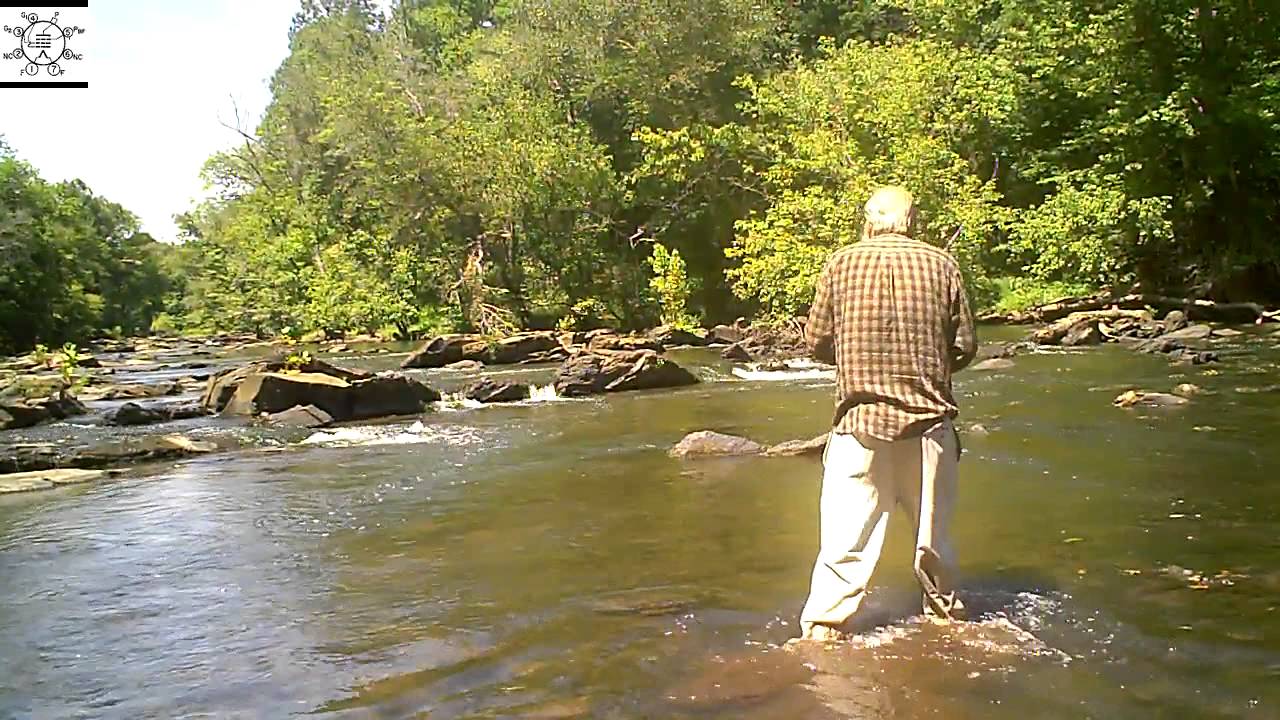 Deep River Water At Nature Trail Low, But Fishable - YouTube
