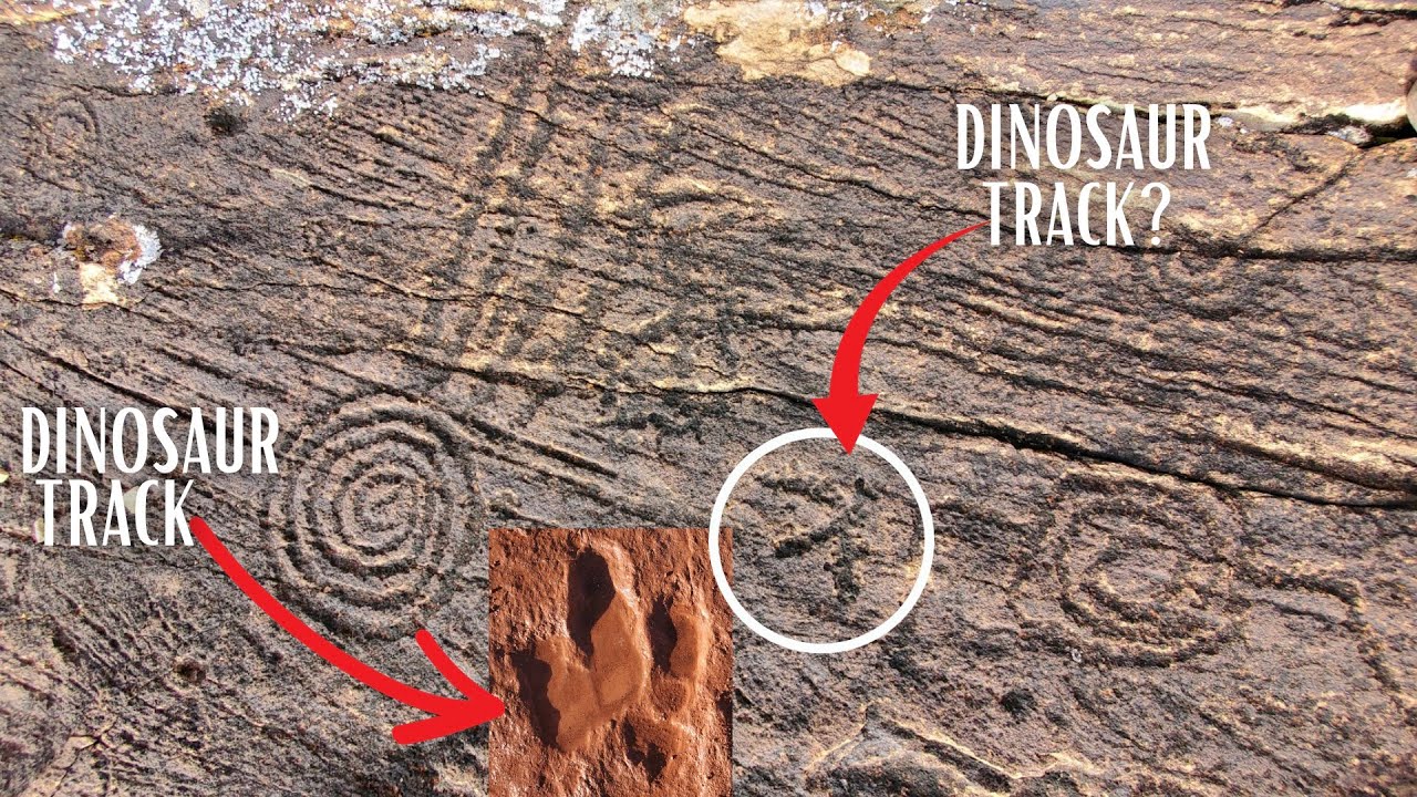 Prehistoric Map & Dinosaur Tracks...Connected? - Ancient Southwestern ...