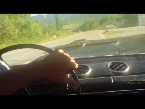Elvin 555  3  (18+)