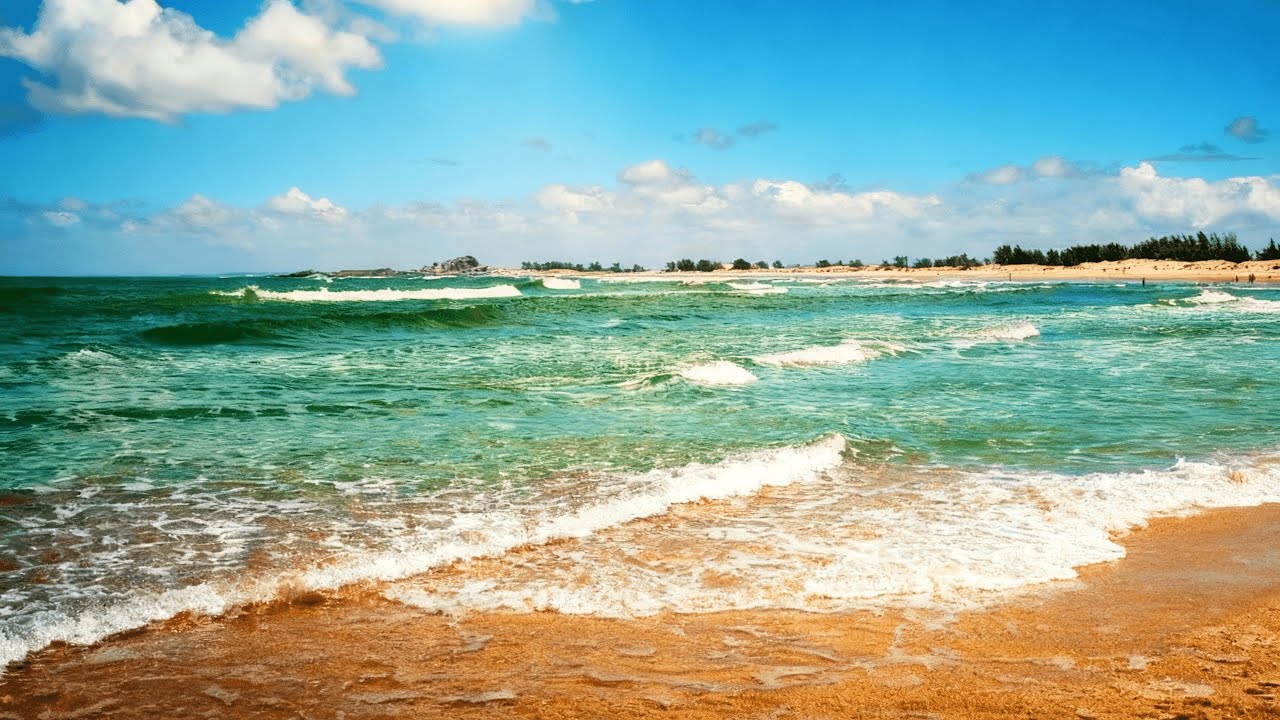 Caminhando na Praia do Cardoso – NATUREZA preservada em Laguna/SC 🌊🏖️ ...