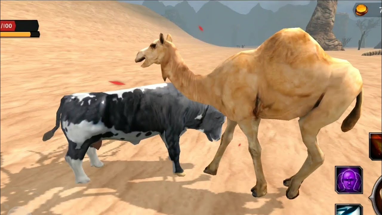 Cow attack on Camel in Village || Zoo animals - YouTube