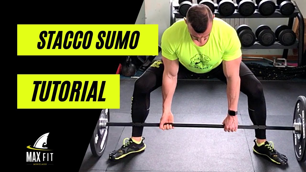 Stacco Sumo Deadlift Fondamentale per la Partenza del nuoto - YouTube