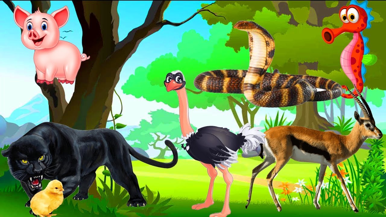 Wild animals make a wide range of noises: sheep, giraffes, elephants ...