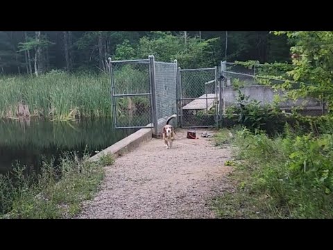Grass Lake State Forest Campground - YouTube