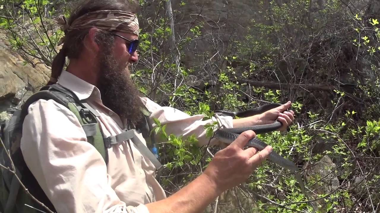 Chris Rat Snake - YouTube
