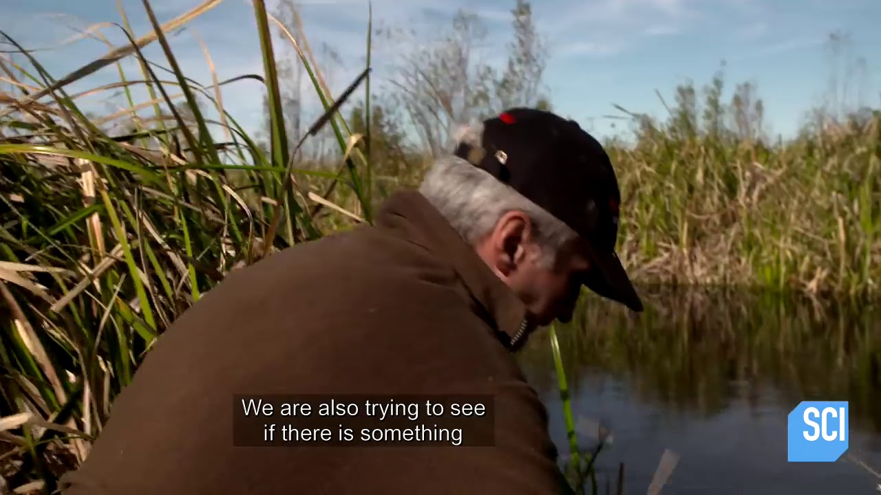 MOVING ISLAND EYE ISLAND - YouTube