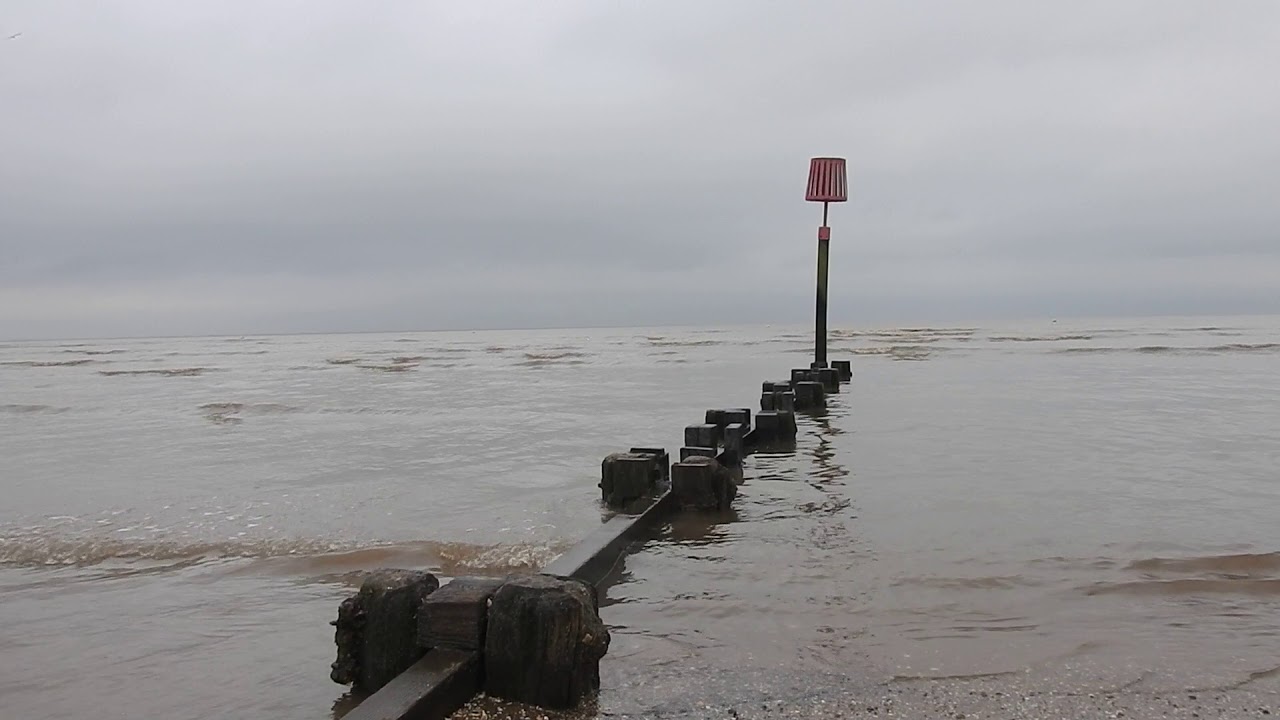 Vortex Records: The Sea | HD - YouTube