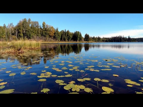 Eskers by Canoe