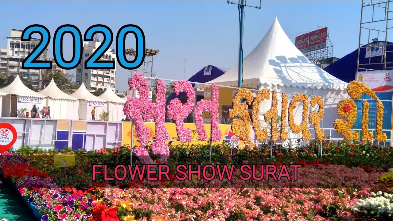 FLOWER SHOW 2020 SURAT | VANITA VISHRAM SURAT | આપના ગુજરાતીઓ તો ખાસ ...