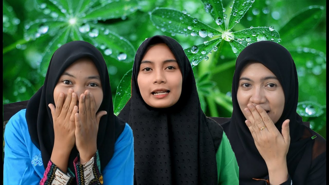 Bidadari AGRO - YouTube