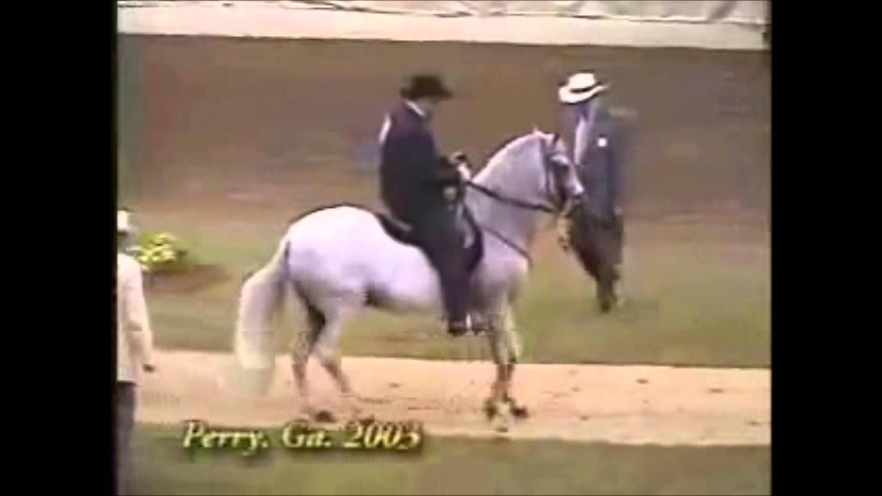 Clásico De Plebeyo - YouTube