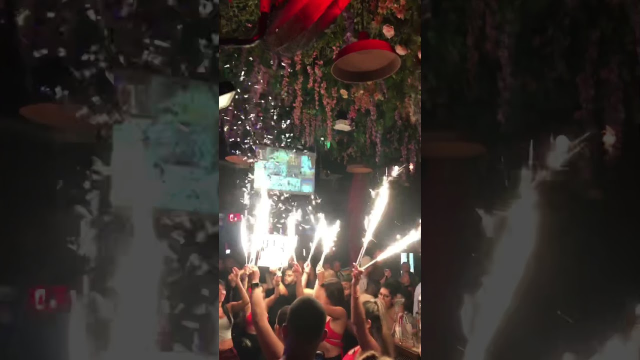 MIAMI “The dirty rabbit” - YouTube