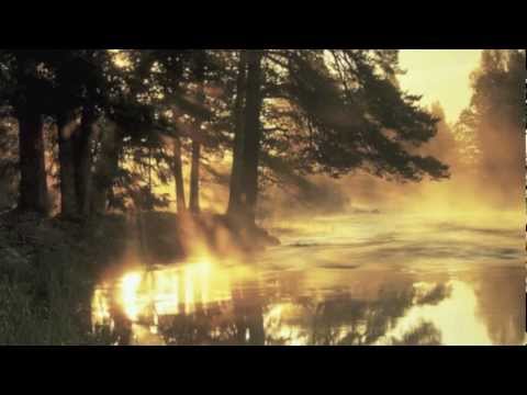 More - Original Song by Amber Marie (with lyrics)