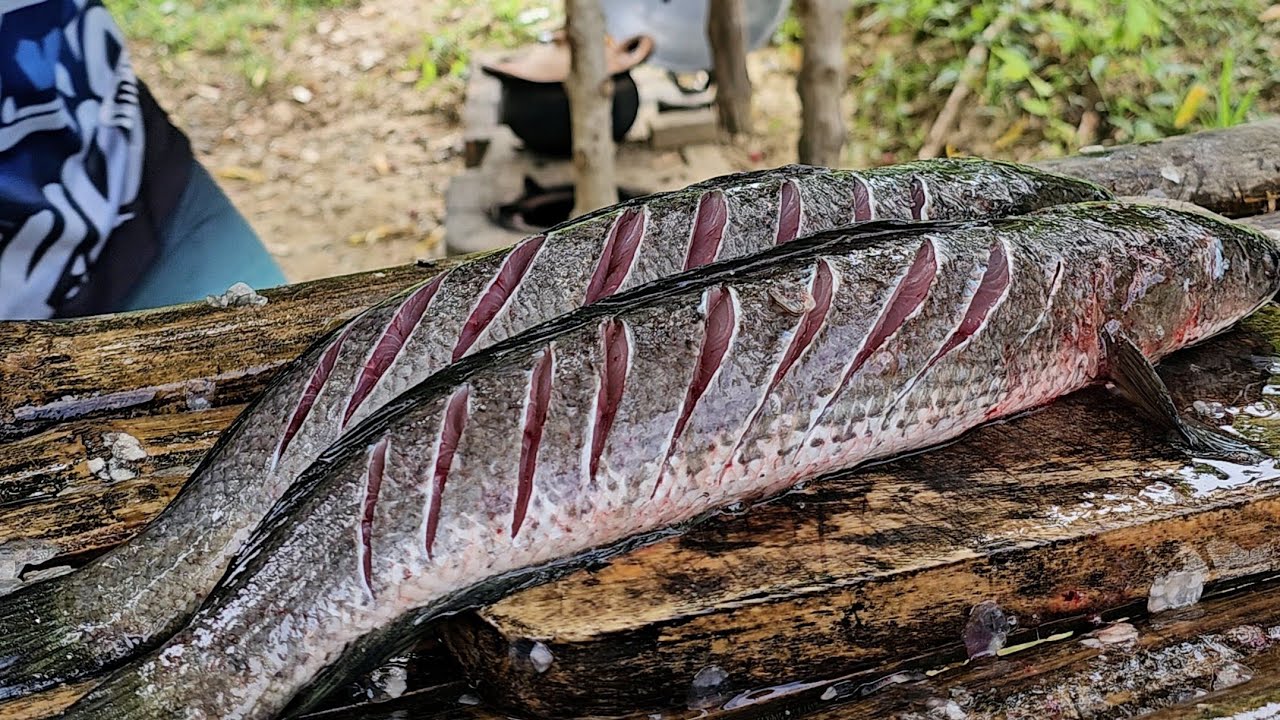 PANGAT NA BULEG SA SAMPALOK | PAGKAING BUKID | OUTDOOR COOKING |Team ...