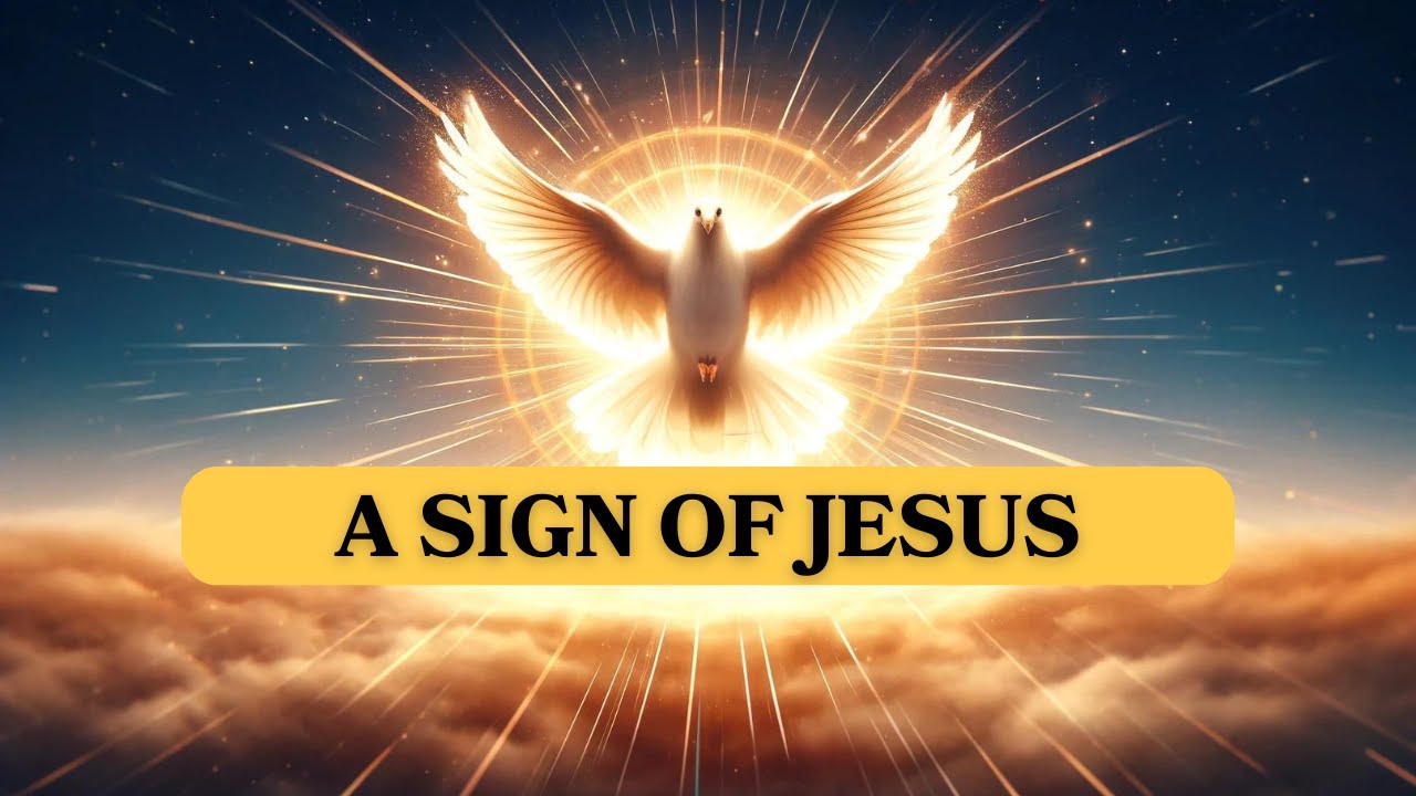 You Will Understand The Holy Spirit at a New Level | Prophetic Word ...