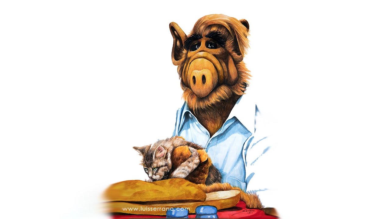 Revisiting ALF and Project: ALF - YouTube