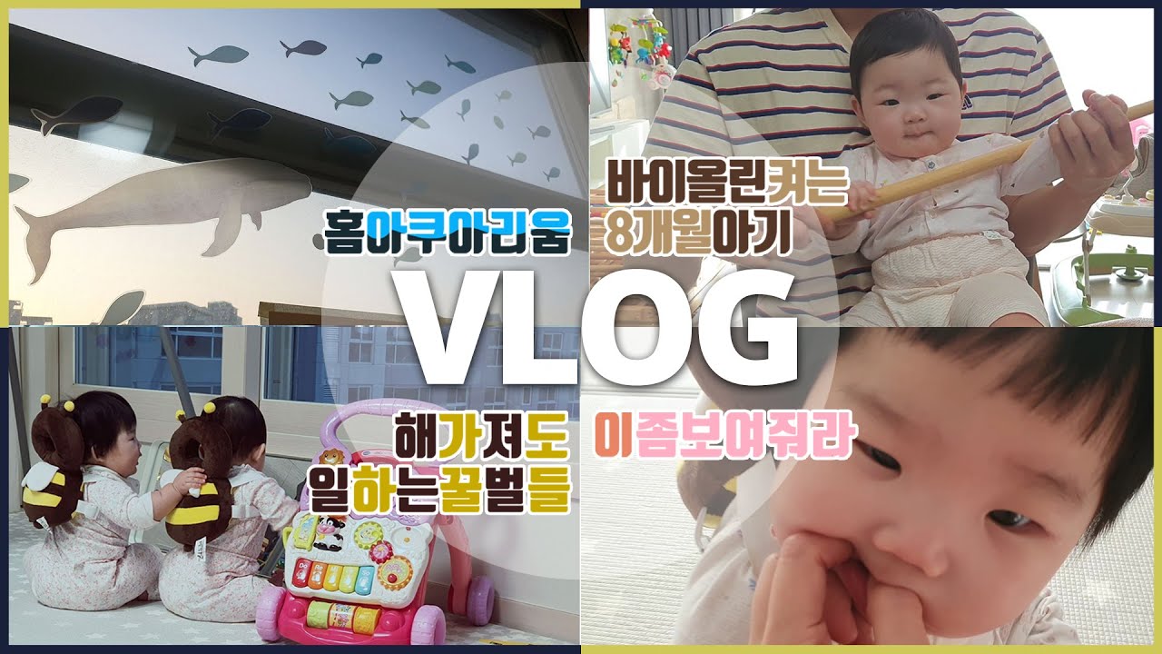 쌍둥이육아 육아브이로그 Vlog 딸쌍둥이 이란성 쌍둥이 8개월 아기 아쿠아리움 인테리어 아기방 꾸미기 아기치아