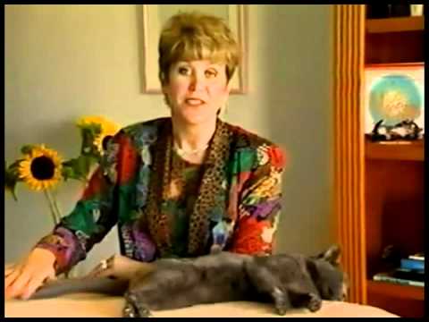 A Cat Massage Tutorial - in song - YouTube