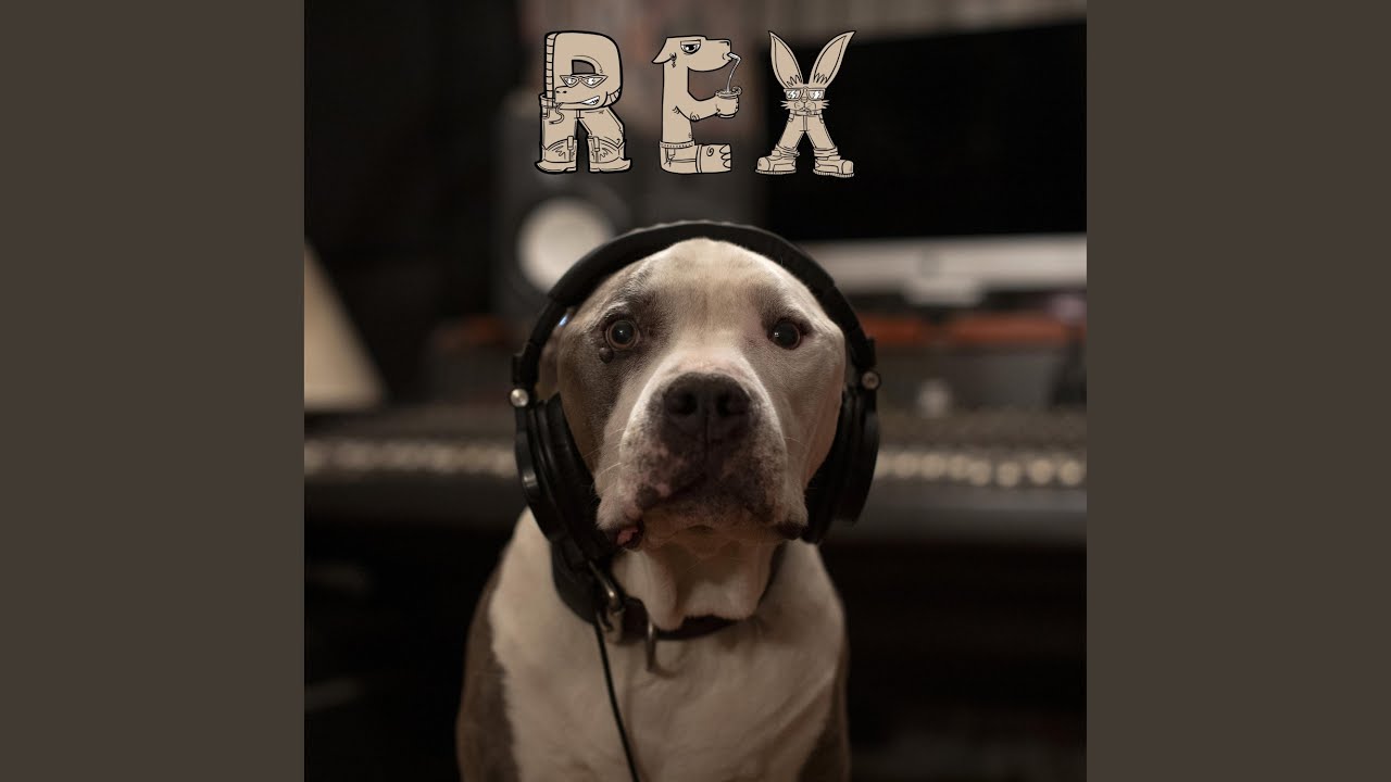 Rex - YouTube