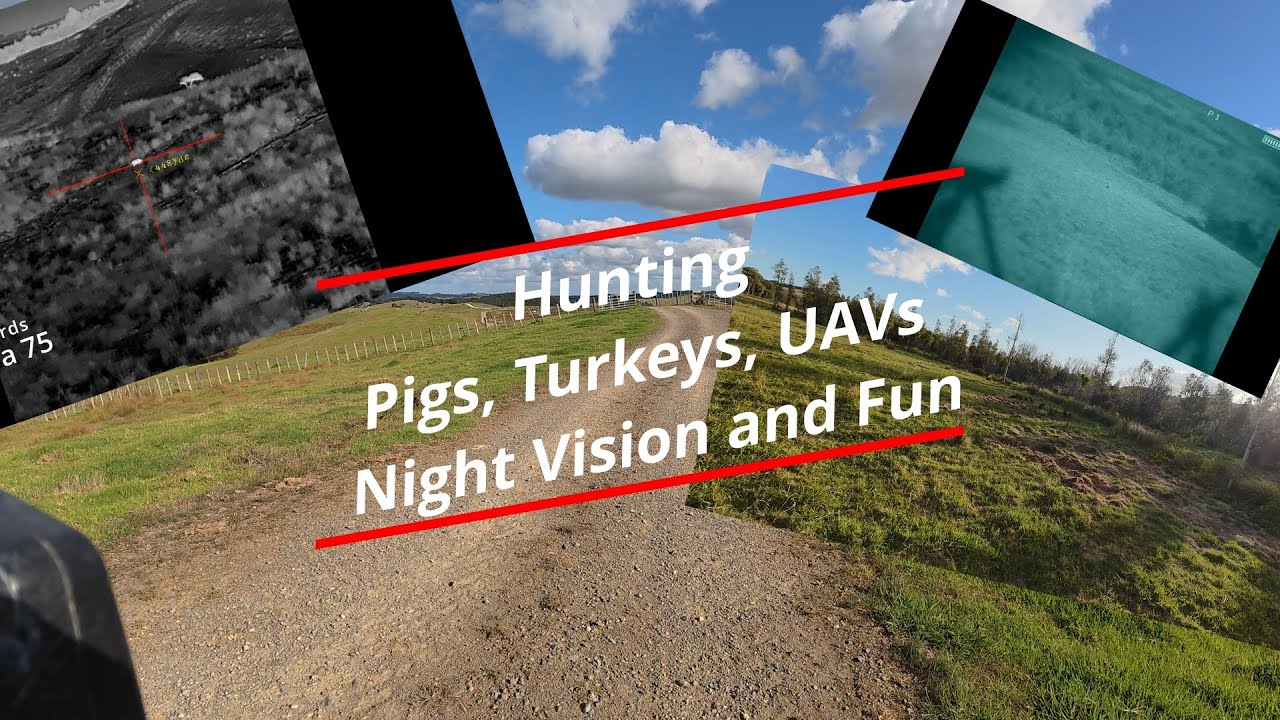 Hunting Pigs with Night Vision - YouTube