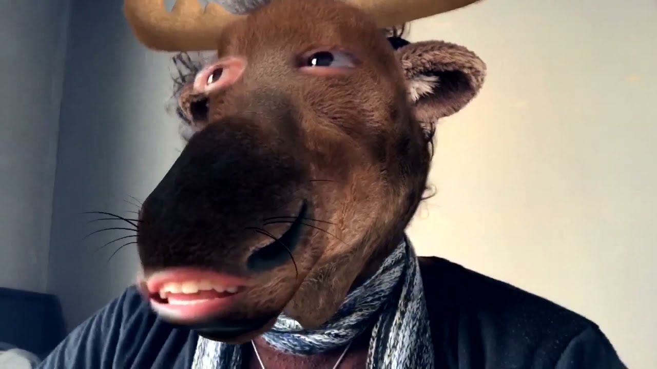 EL ALCE - EPISODIO 1: "SOY CANADIENSE" - YouTube