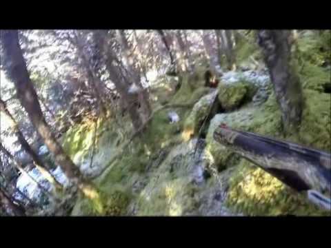 Rabbit Hunting In Newfoundland Part 5. First snow fall - YouTube