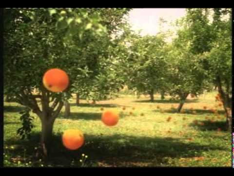 Tabuk Tadco.mpg - YouTube