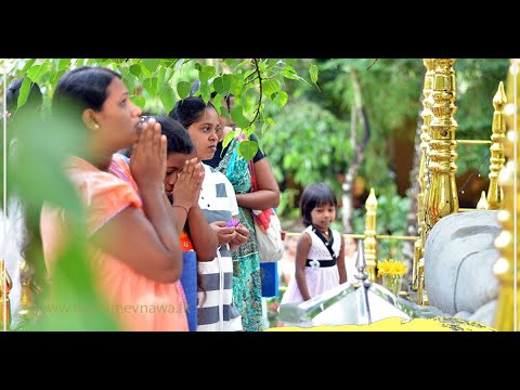 Horana Mahamevnawa - YouTube