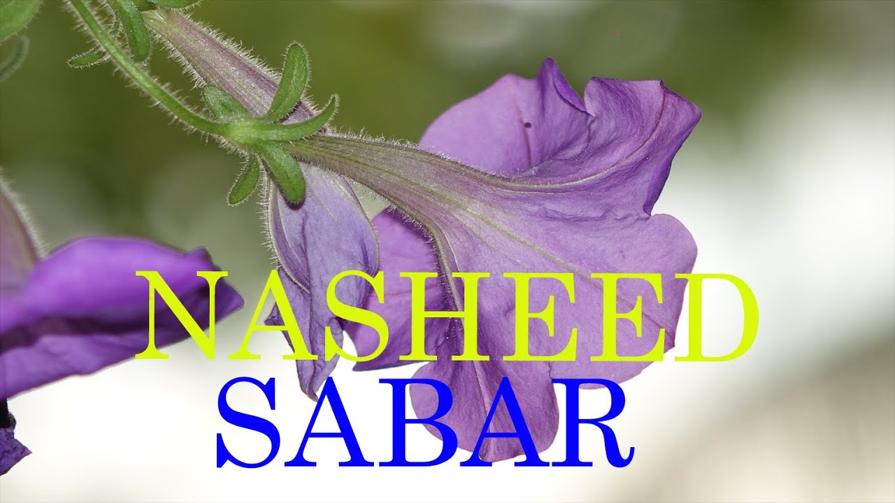 Beautiful Nasheed Sabar||Islamic Background Music - YouTube