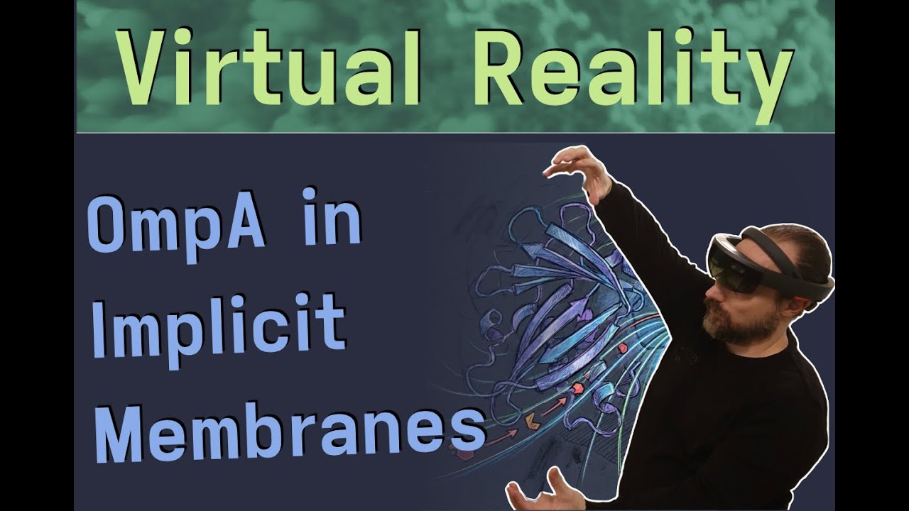 Very first Unilipid virtual reality experiment on OmpA in an implicit ...