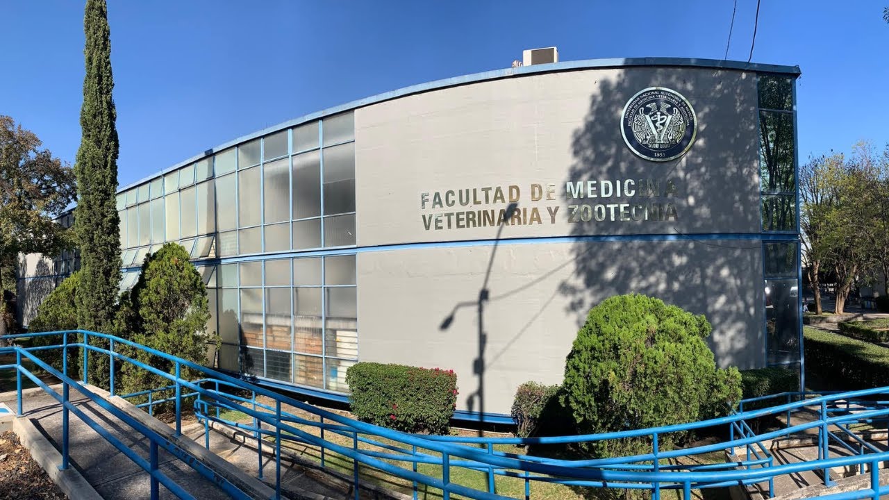 Estudiar MVZ en la Facultad de Medicina Veterinaria y Zootecnia de la UNAM - YouTube