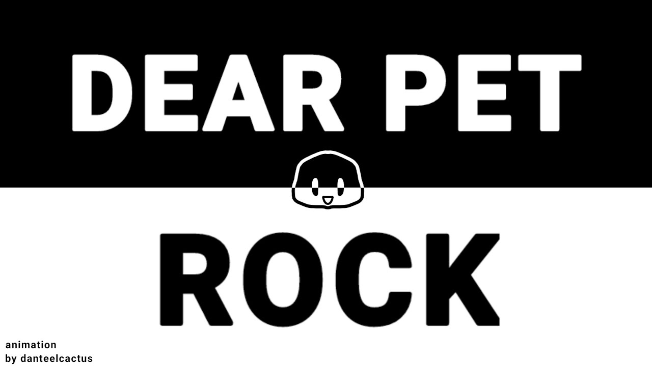 Dear Pet Rock | Animation - YouTube