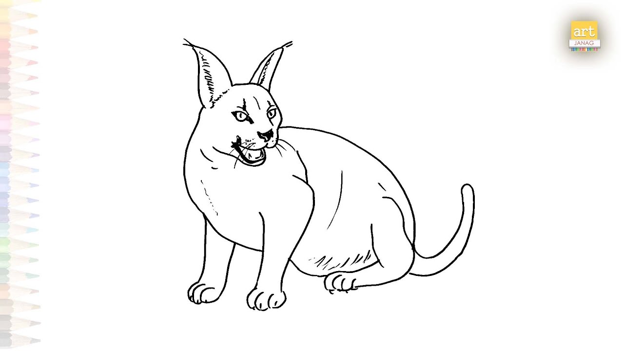 Lynx drawing easy | Animal drawing tutorials | How to draw A Lynx step ...