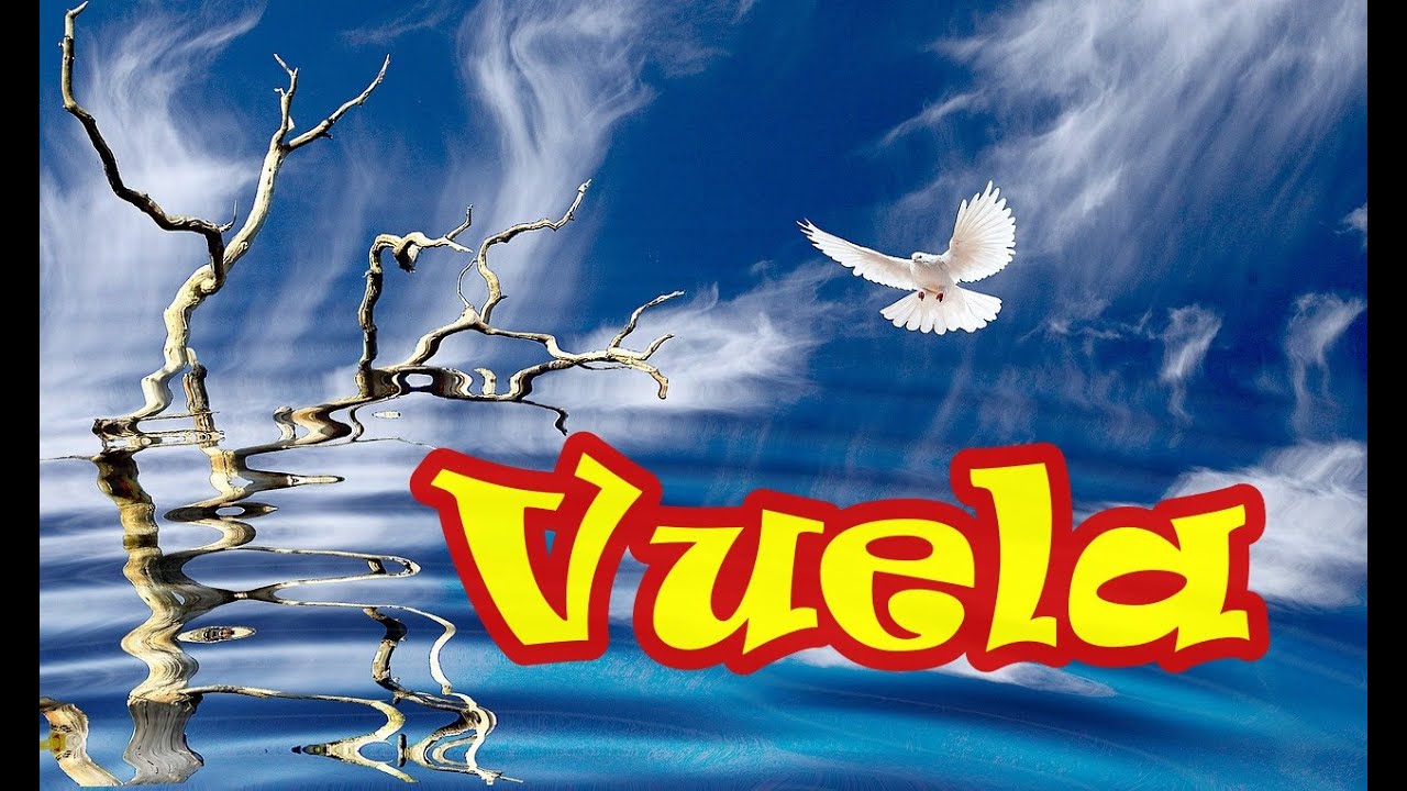 VUELA - YouTube