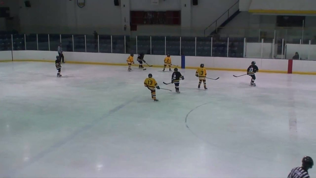 Adam Melnyk 2nd Goal 20081123 Leaside Paint Centre Minor Peewee - YouTube