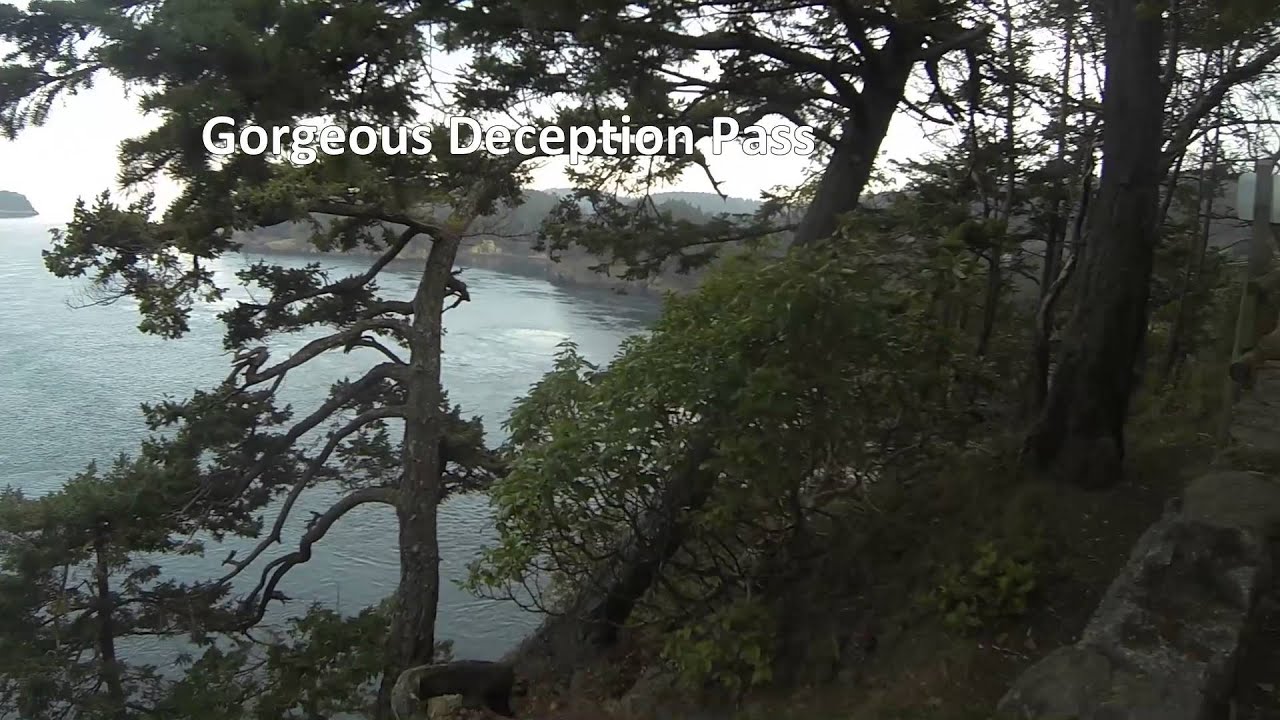 Keystone Jetty & Edmonds Underwater Park Washington Diving 2013 HD ...