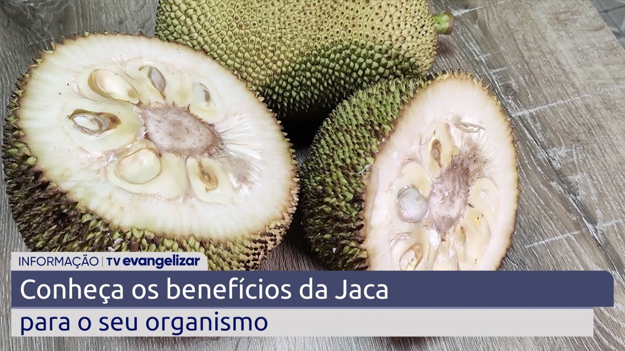 Conheça os benefícios da Jaca para o seu organismo - YouTube