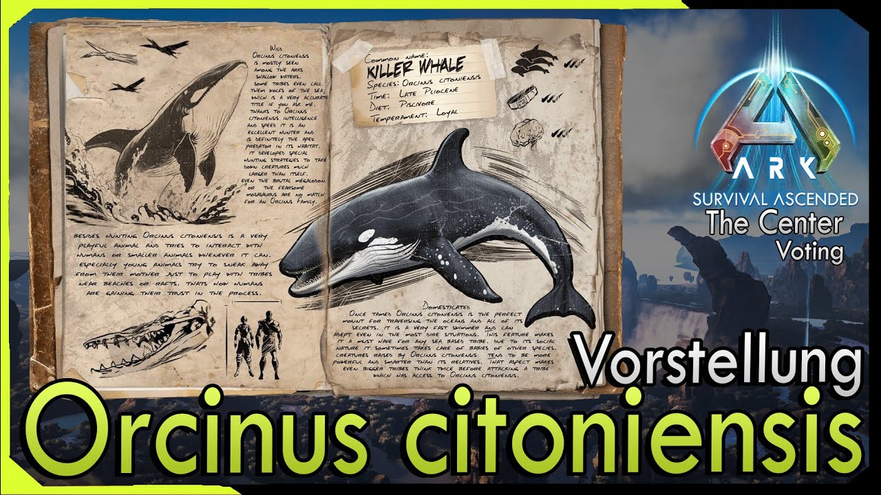 Orcinus citoniensis - Wolf der See | Vorstellung der Kreature | The ...