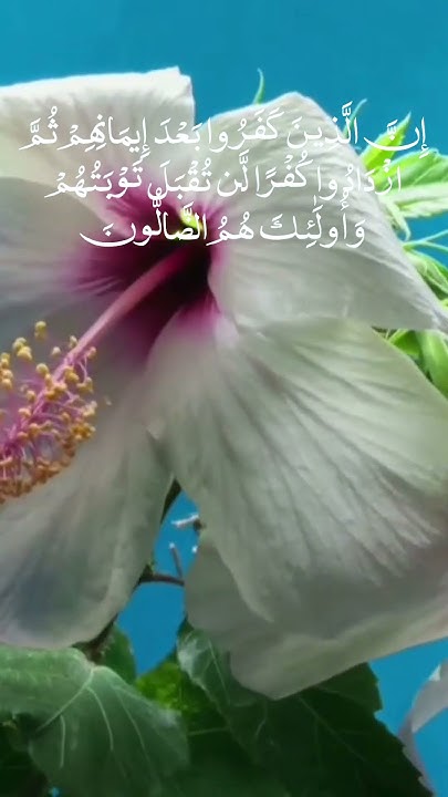 الا الذين تابوا من بعد ذلك وأصلحوا فإن الله غفور رحيم كمال أنس الصبيحي