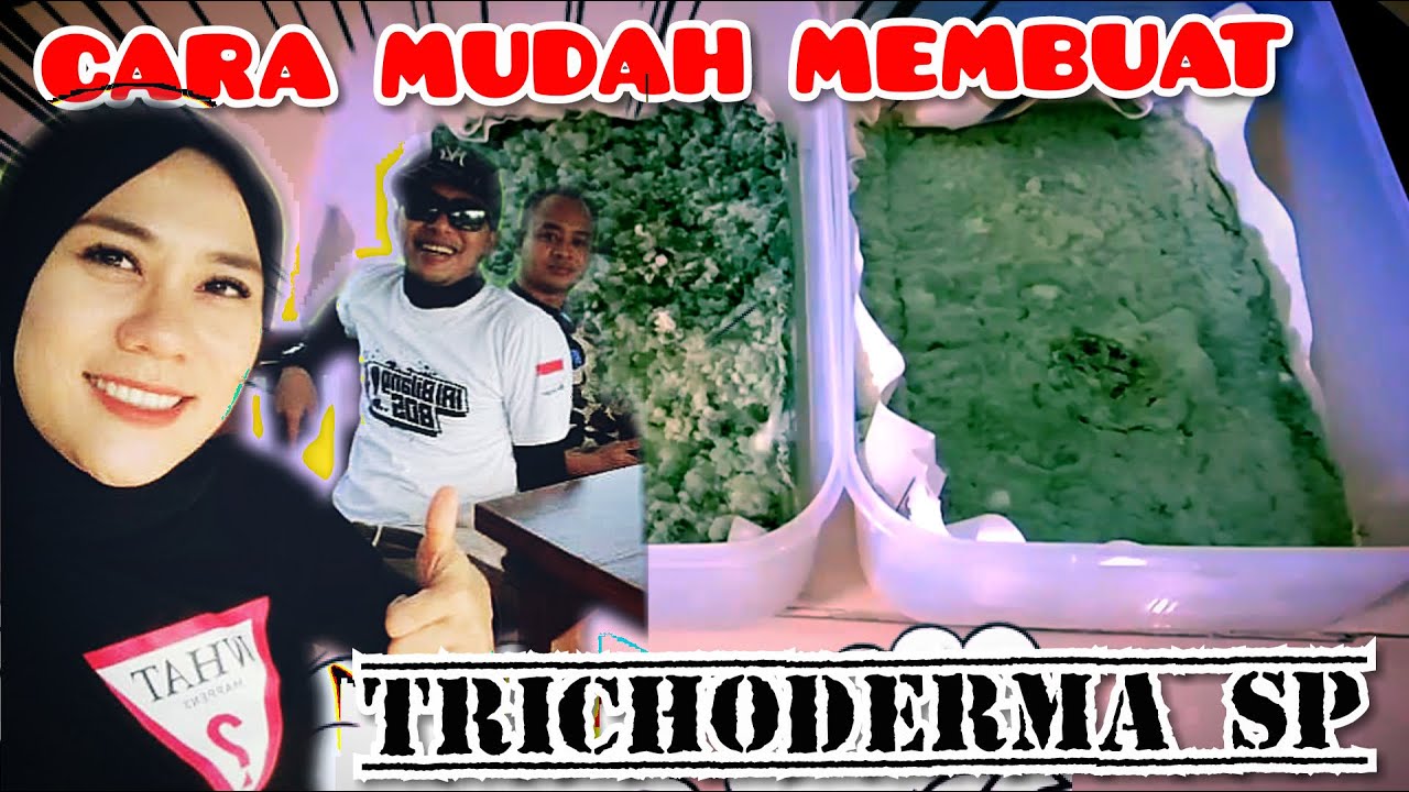 Cara Mudah Membuat Trichoderma sp - YouTube