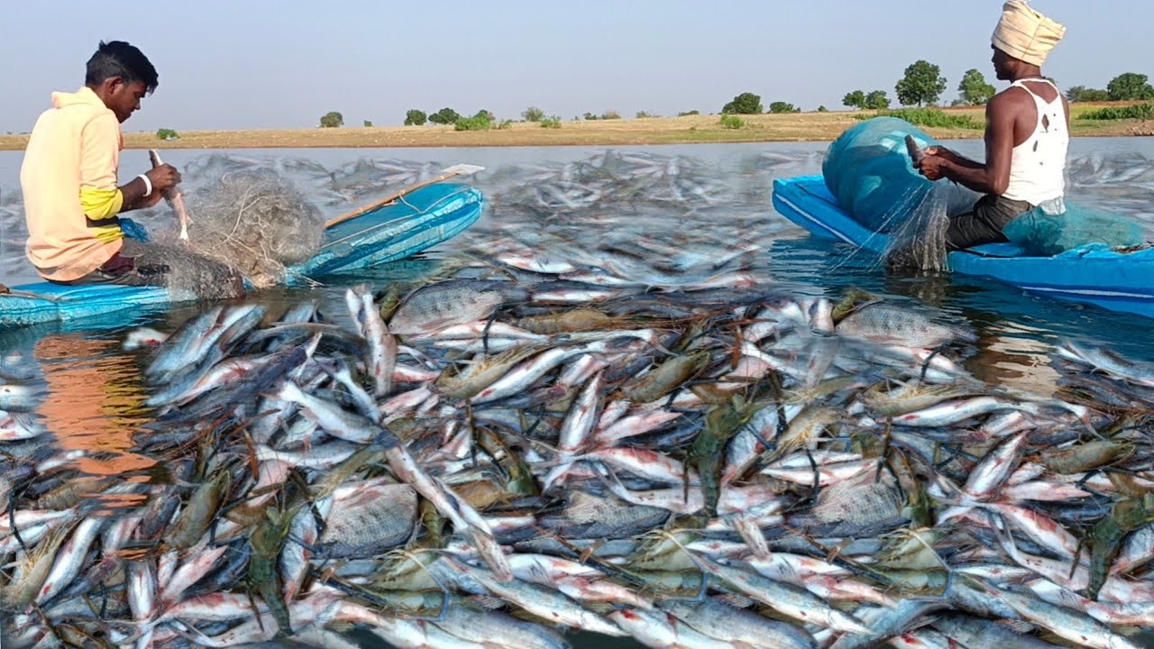 Nonstopble Fishing In Village River || - YouTube