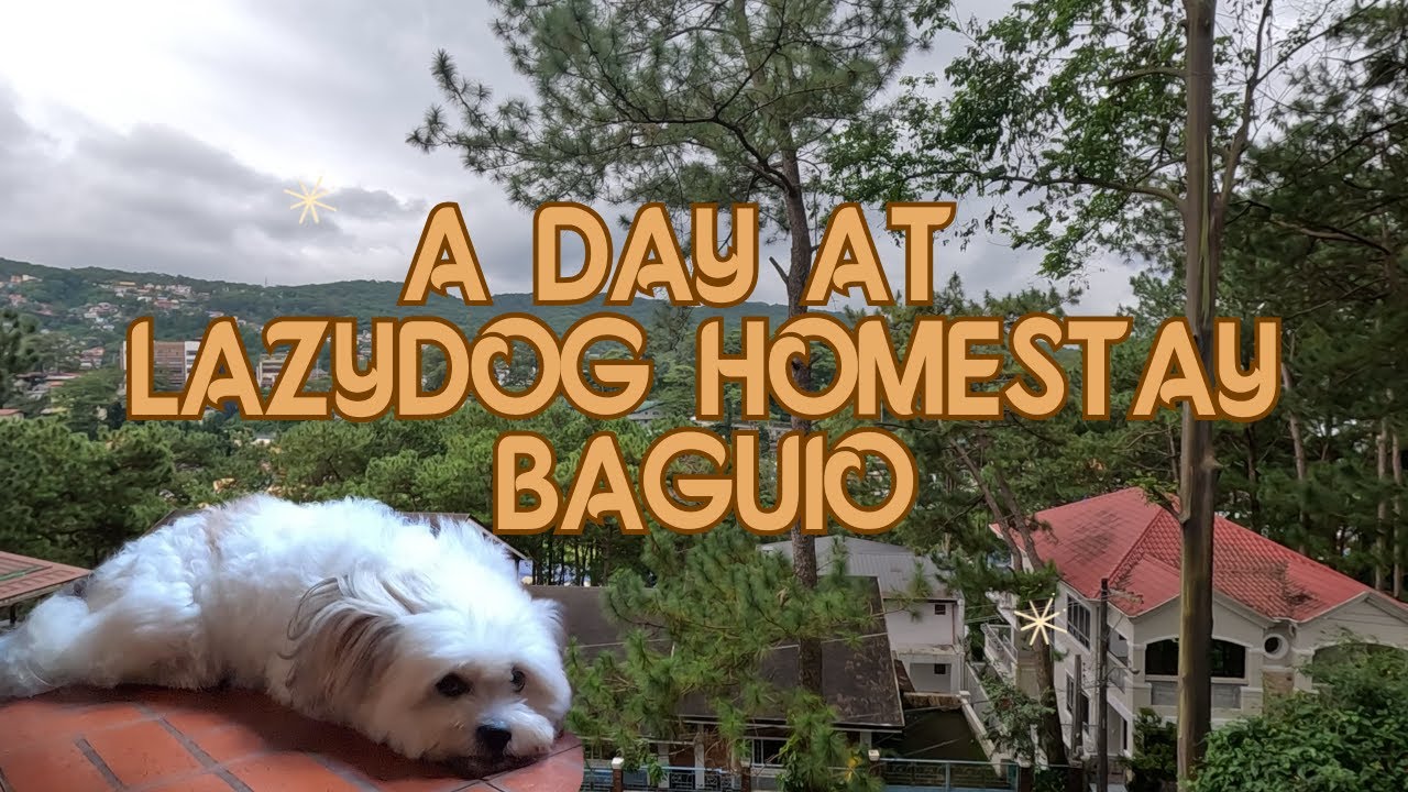 A day at Lazydog Homestay Baguio - YouTube