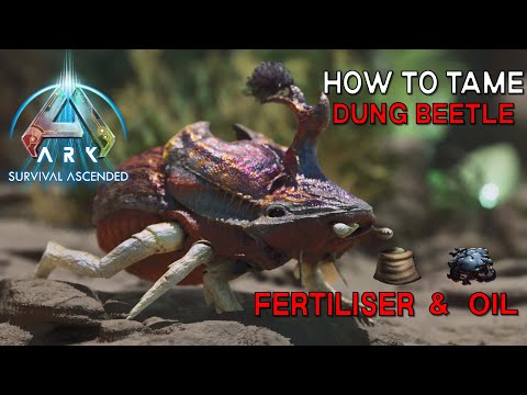 Are Dung Beetles A Passive Tame In Ark