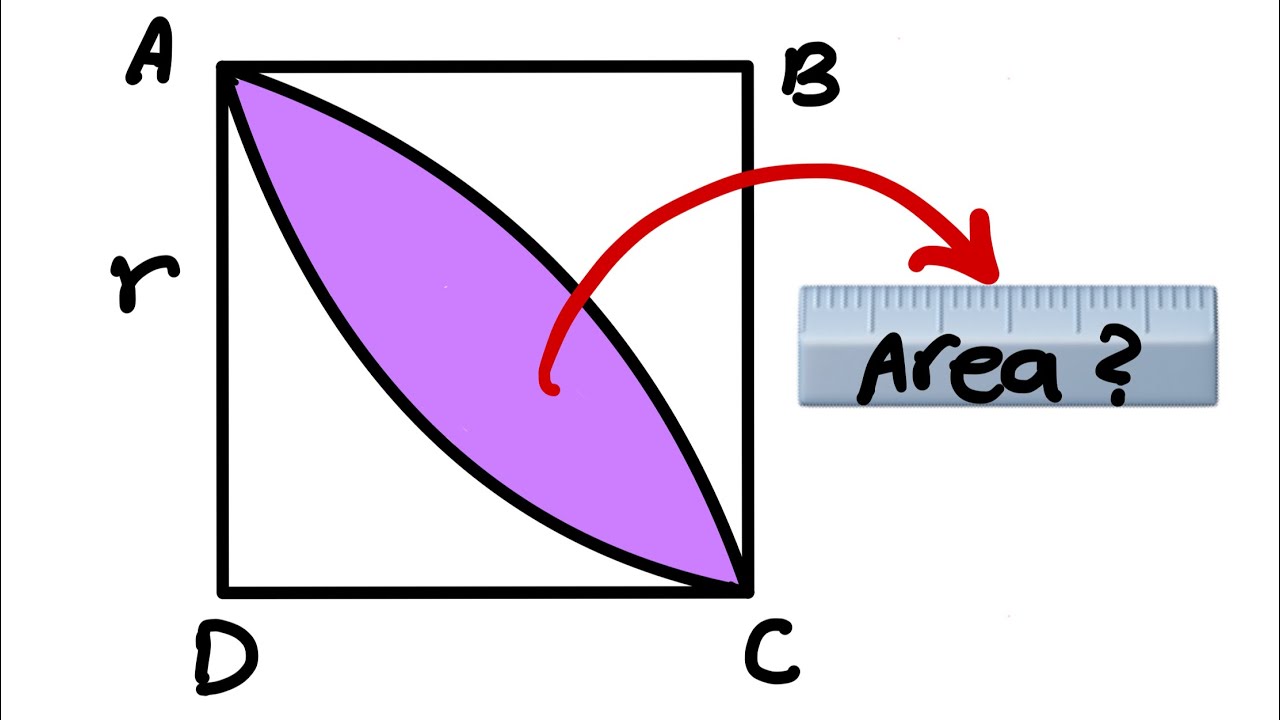Blooming Mathematics: Calculating Petal Area in a Square - YouTube