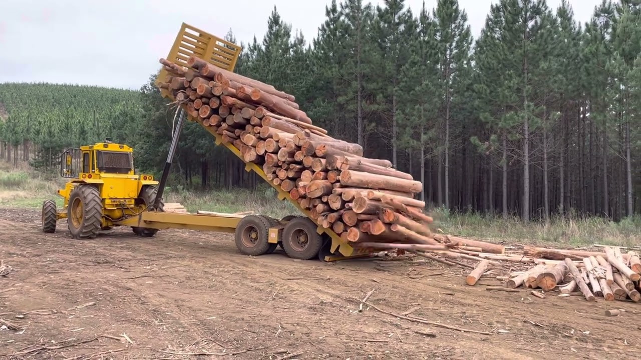 Dezzi H120T 4x4 Haulage Tractor offloading timber on depot - YouTube
