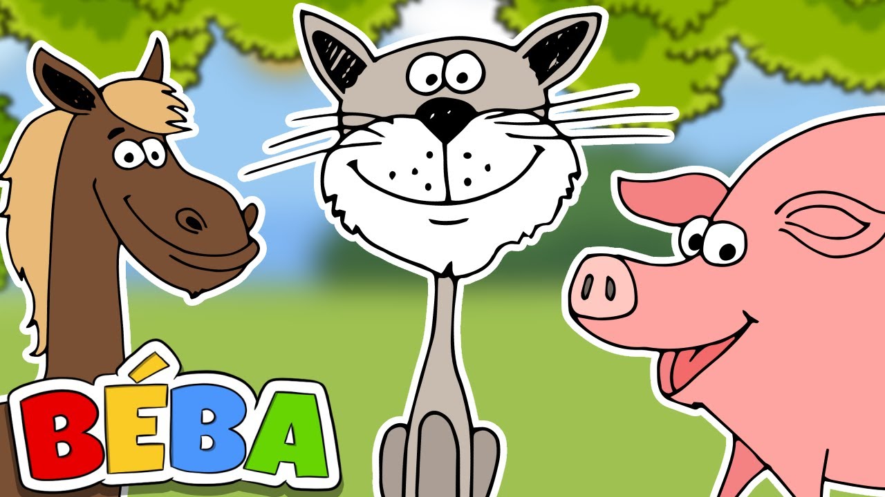 ANIMAL Song | Nursery Rhyme | BÉBA - YouTube
