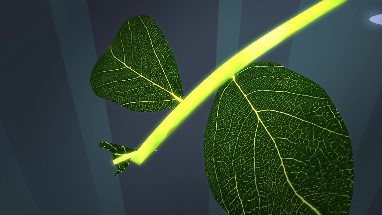 Flashes of light show how plants signal distress - YouTube