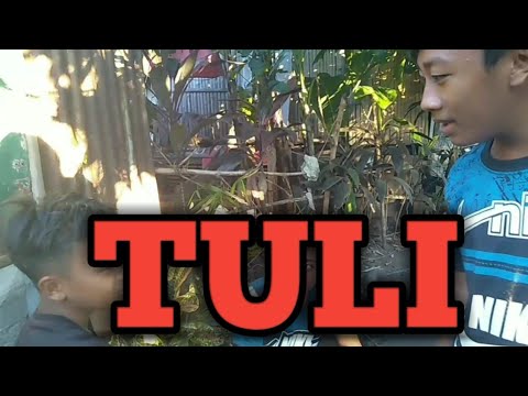 TULI - YouTube