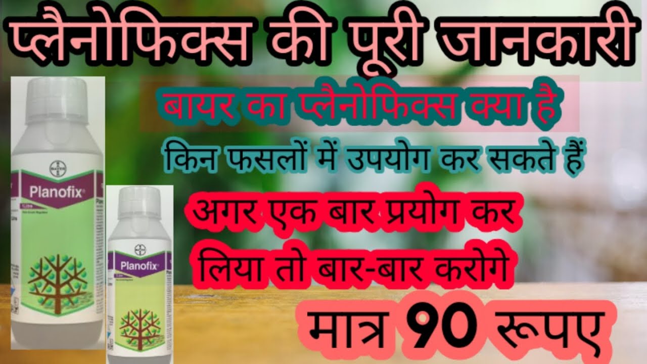 Planofix Bayer planofix Tonic || PGR Tonic || Increasing Flower & Fruit ...